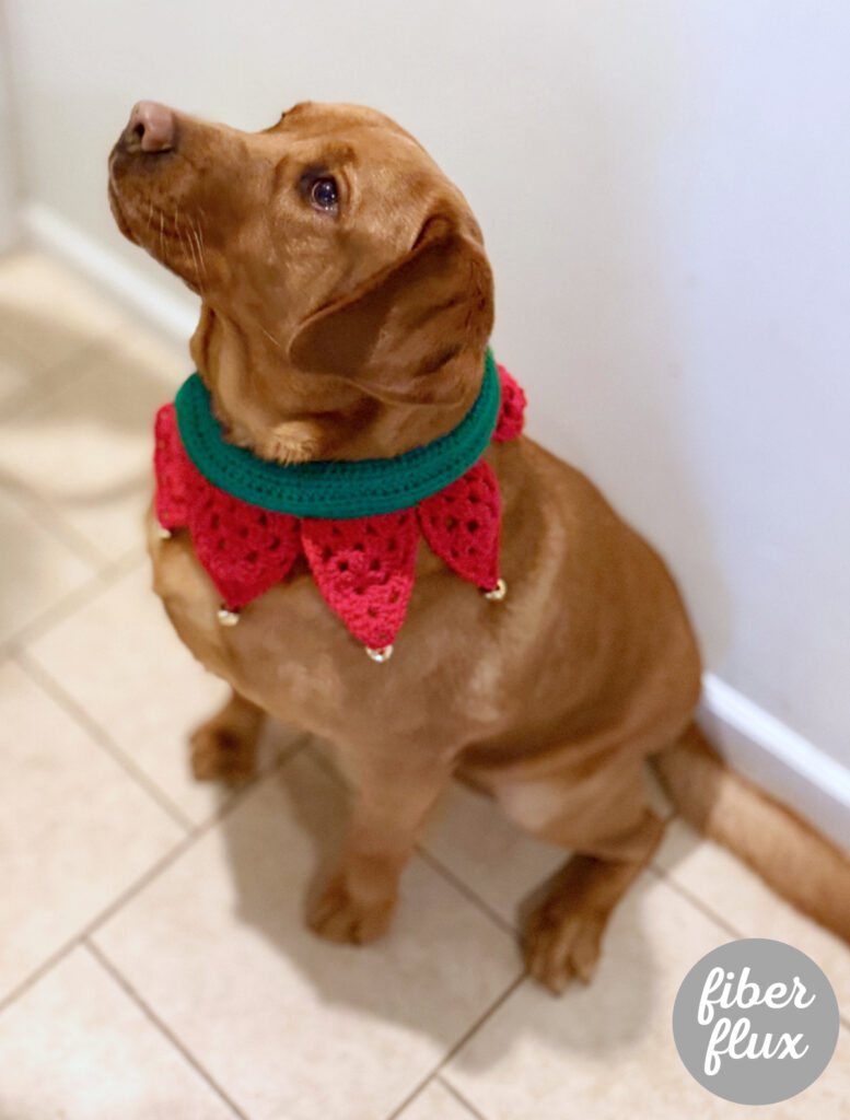 Holiday Elf Pet Collar Cover, Free Crochet Pattern + Video Tutorial ...